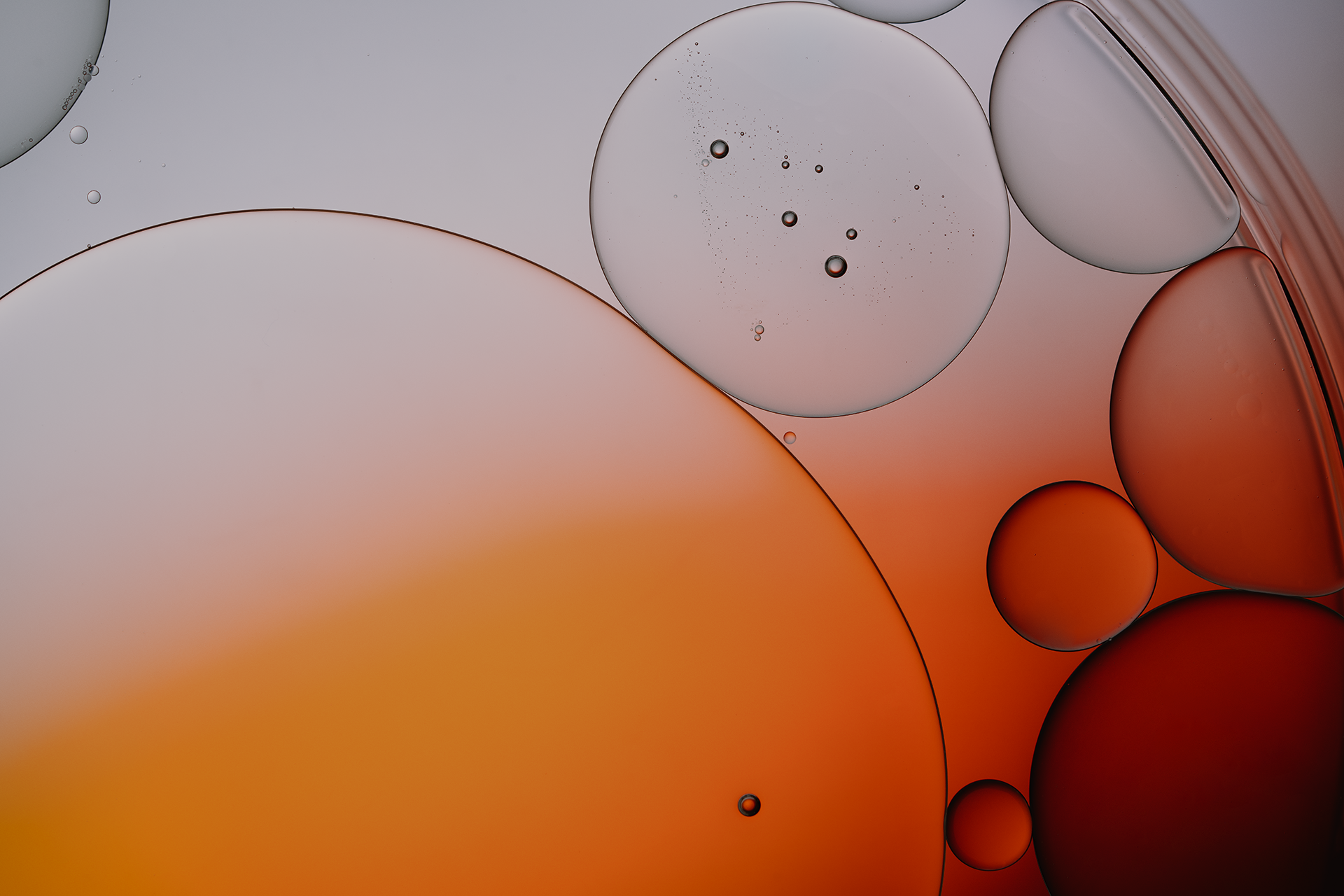 Strive | Dietary Supplements | Strive Pharmacy – Strive Shop